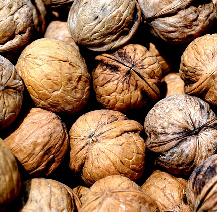 Memory Boosting Nuts For Ultimate Brain Health